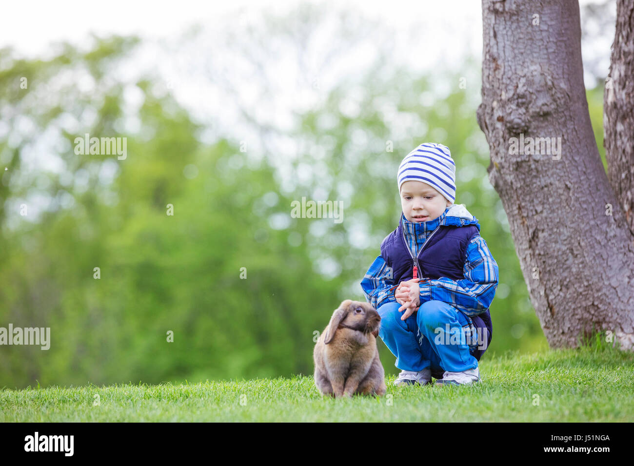 Young boy playing with pet rabbit in spring park Stock Photo - Alamy