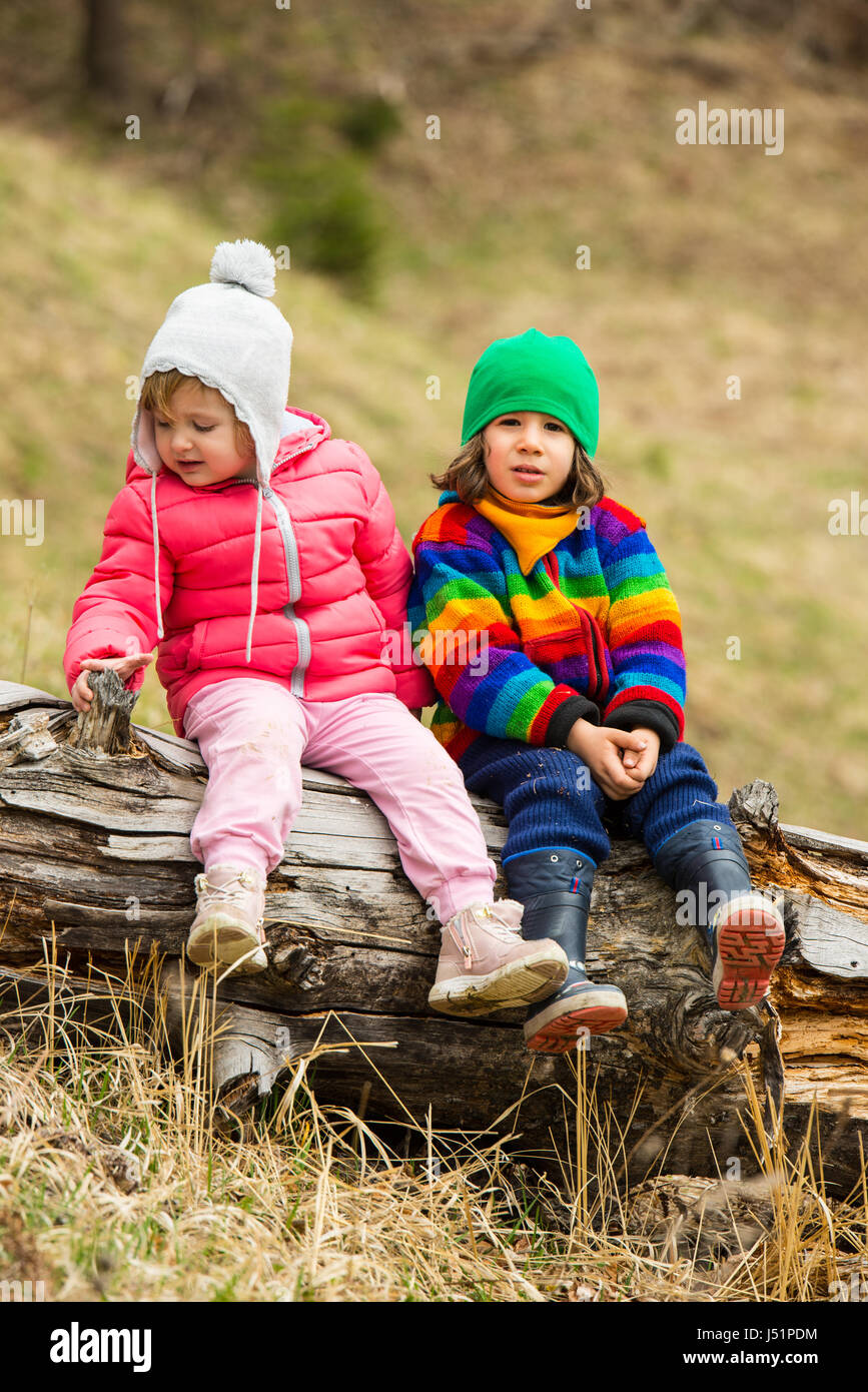 Portrait of two little kids sitting on an old tree trunk in nature ...