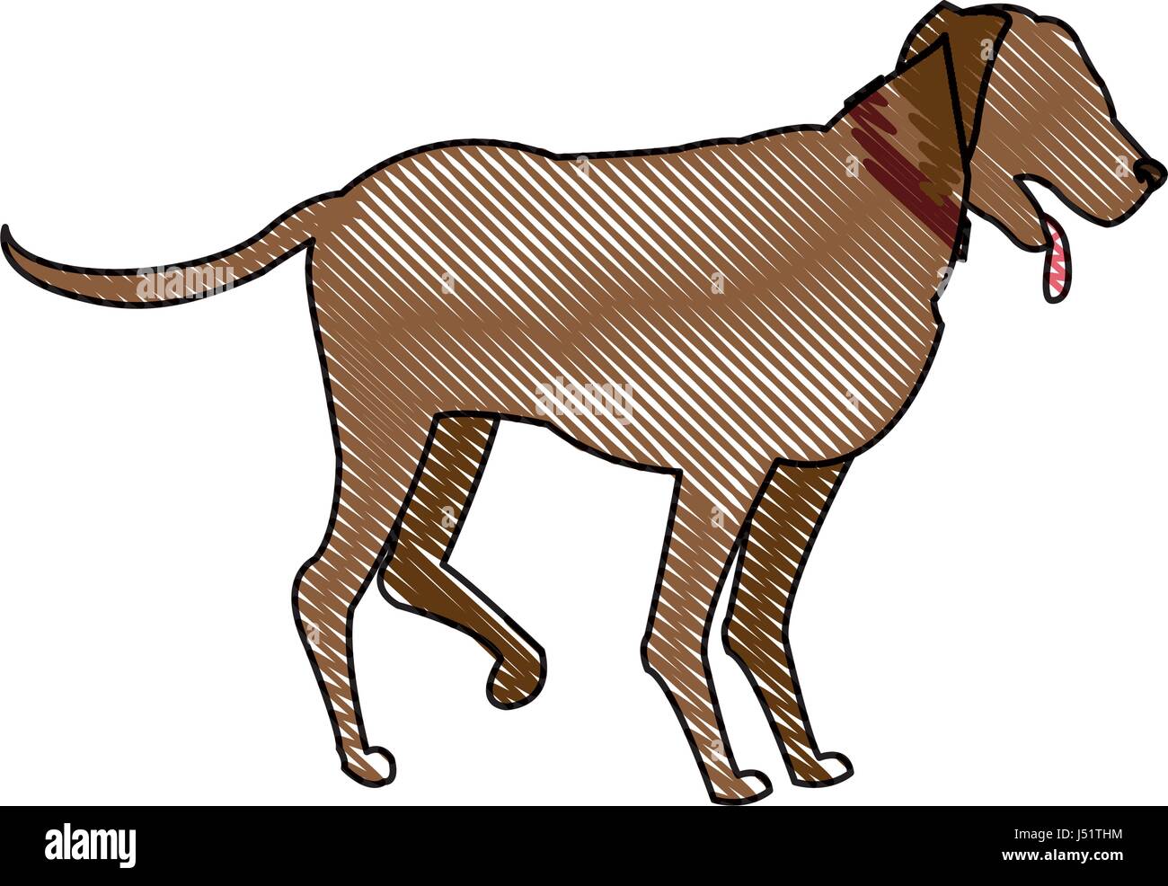 drawing cartoon dog walking pet animal Stock Vector Image & Art - Alamy