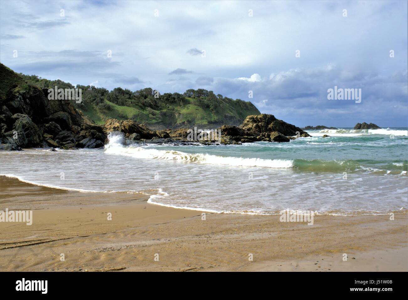 Australian marine life hi-res stock photography and images - Alamy