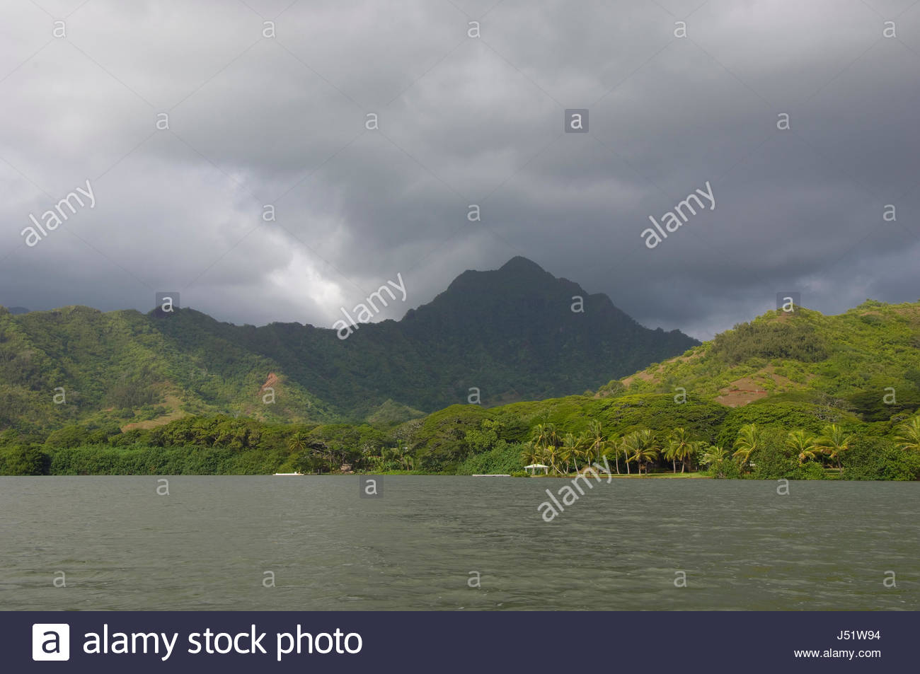 Molii Stock Photos & Molii Stock Images - Alamy