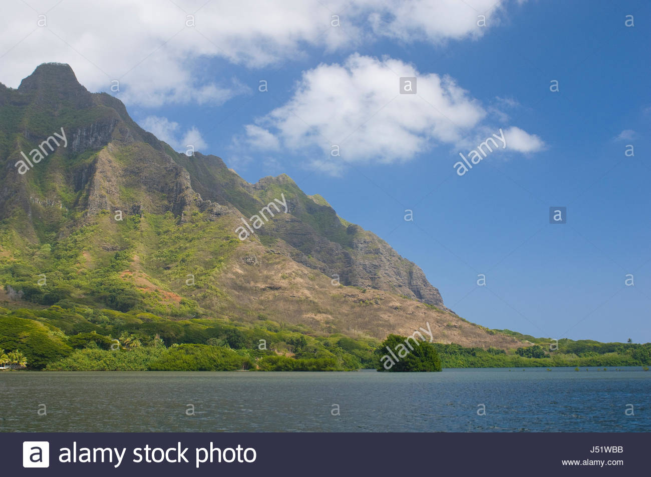 Molii Stock Photos & Molii Stock Images - Alamy