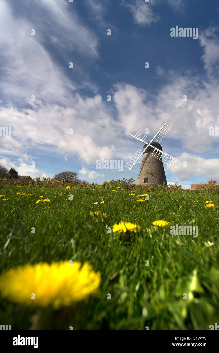 Whitburn mill, South Tyneside Stock Photo - Alamy