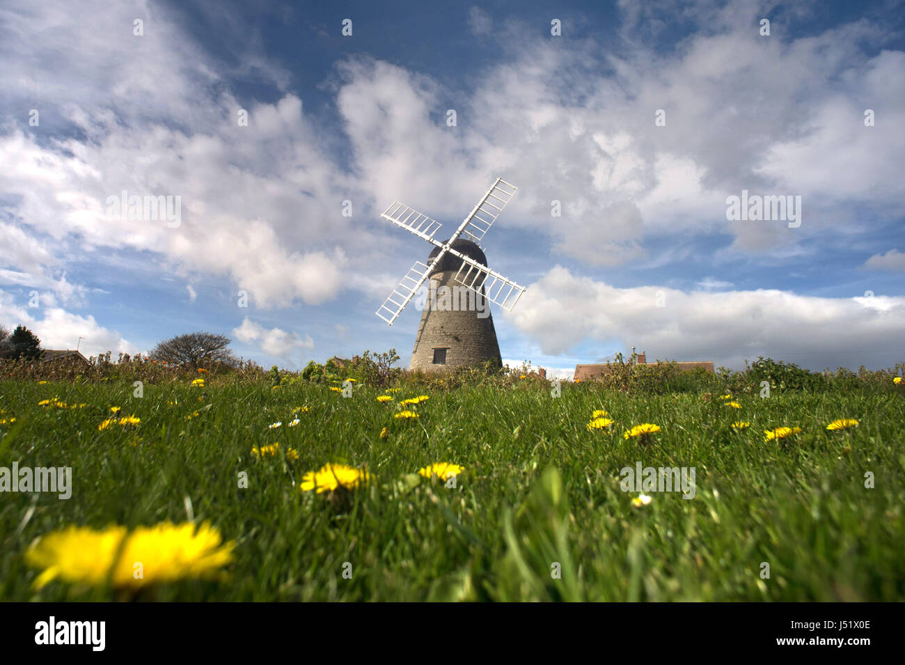 Whitburn mill, South Tyneside Stock Photo - Alamy