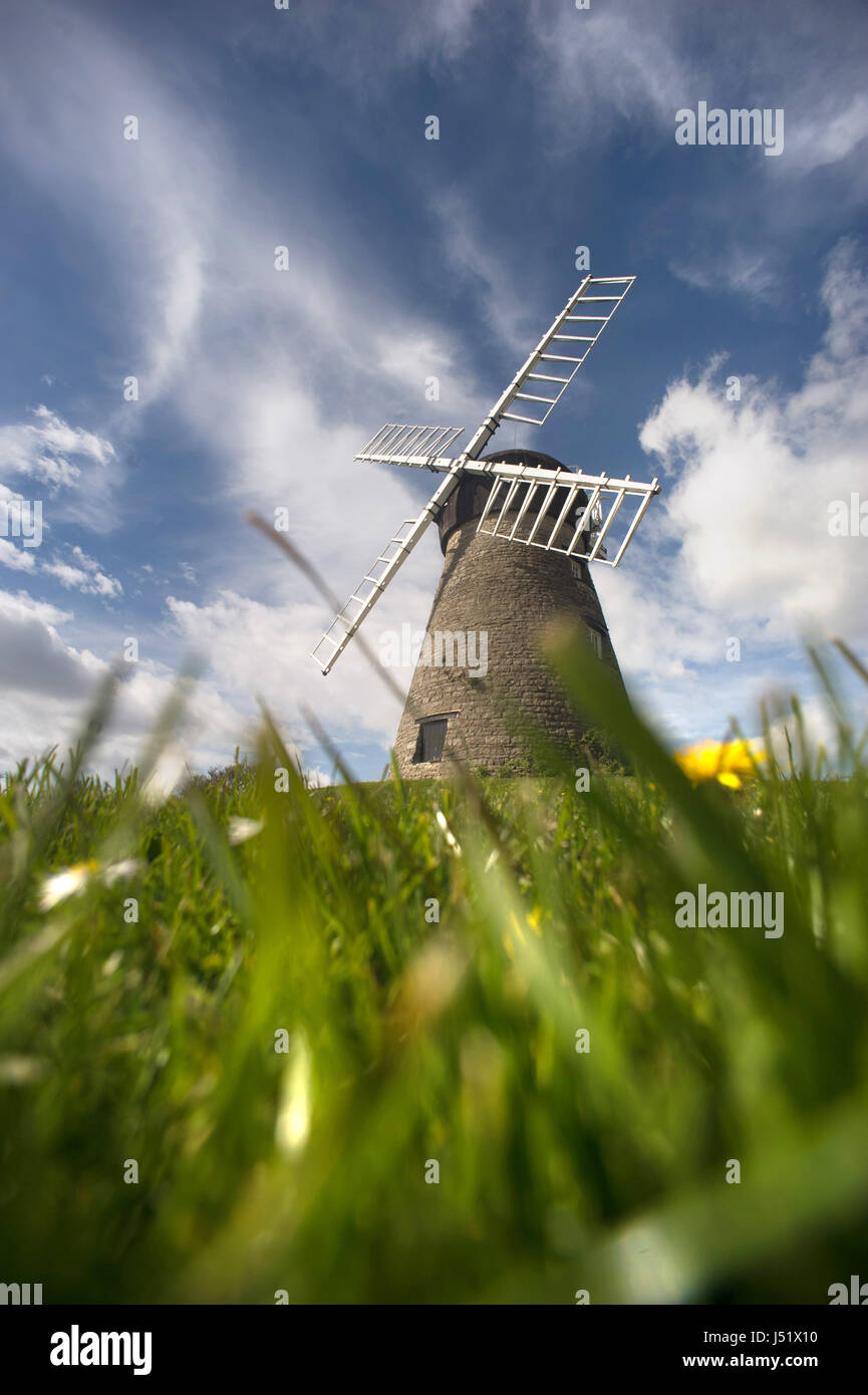 Whitburn mill, South Tyneside Stock Photo - Alamy