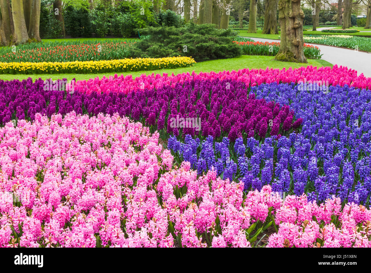 Europe, Netherlands, Lisse, Keukenhof Gardens Stock Photo - Alamy
