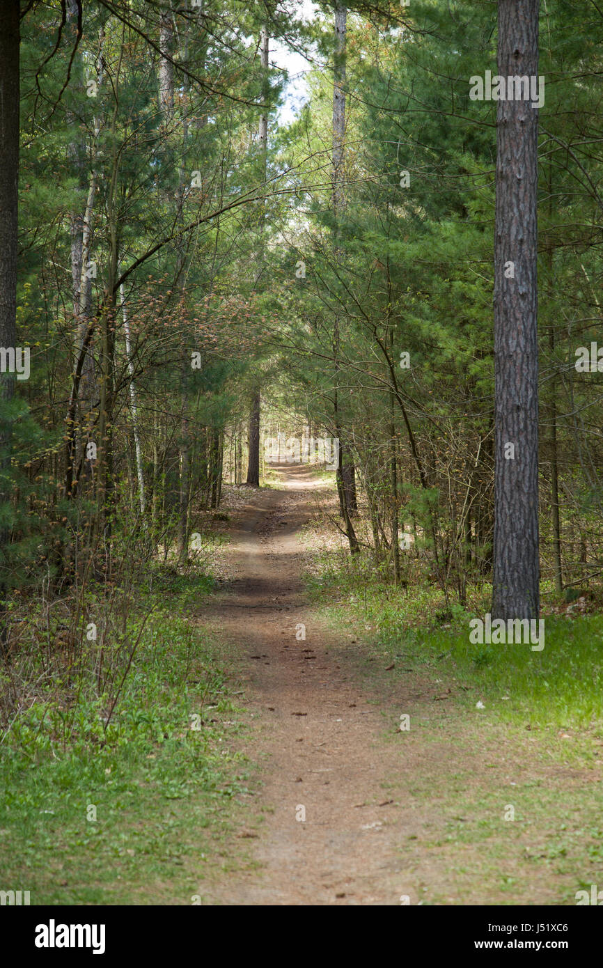 Natural pathway in the forest Stock Photo - Alamy
