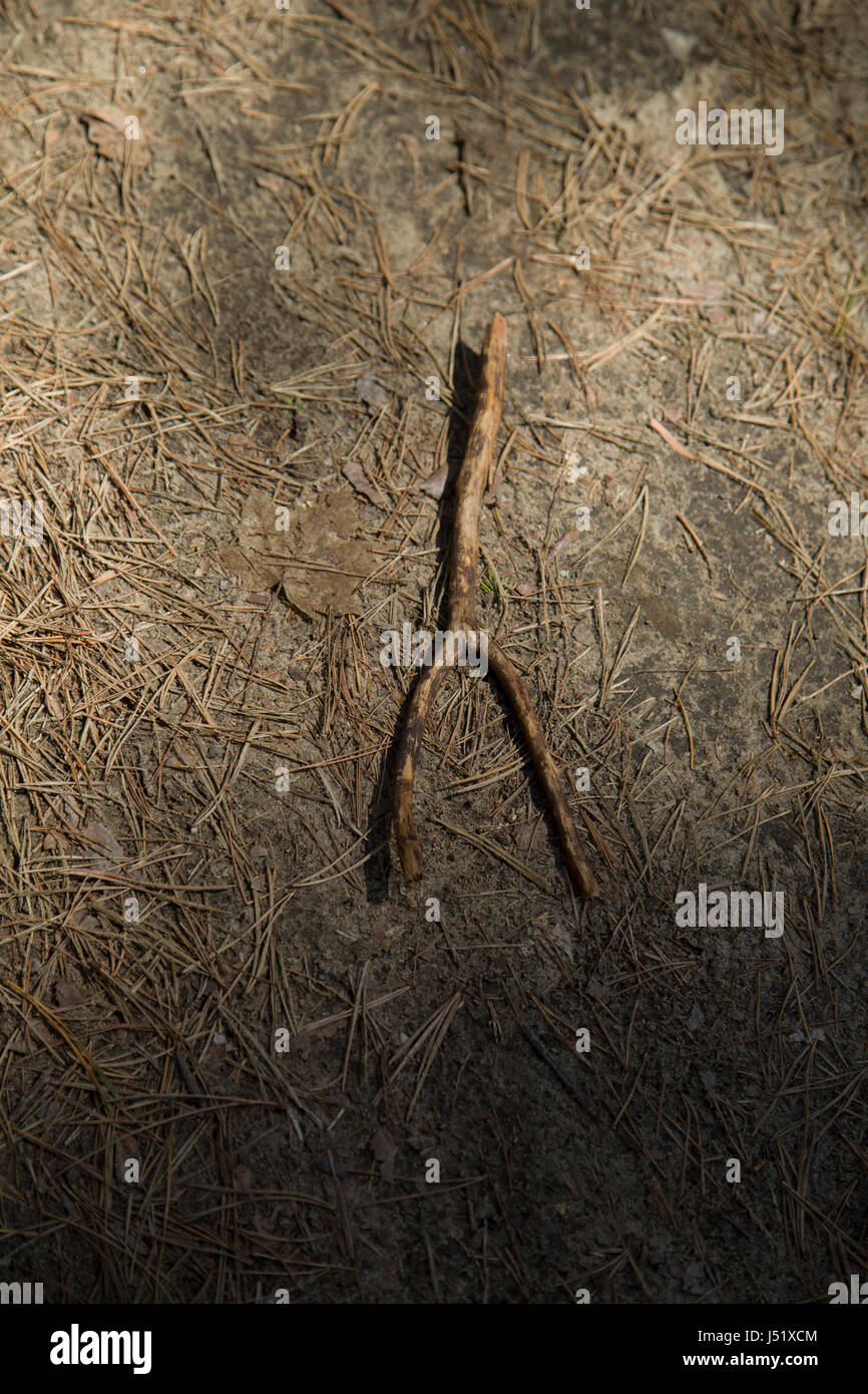 Y shape stick hi-res stock photography and images - Alamy