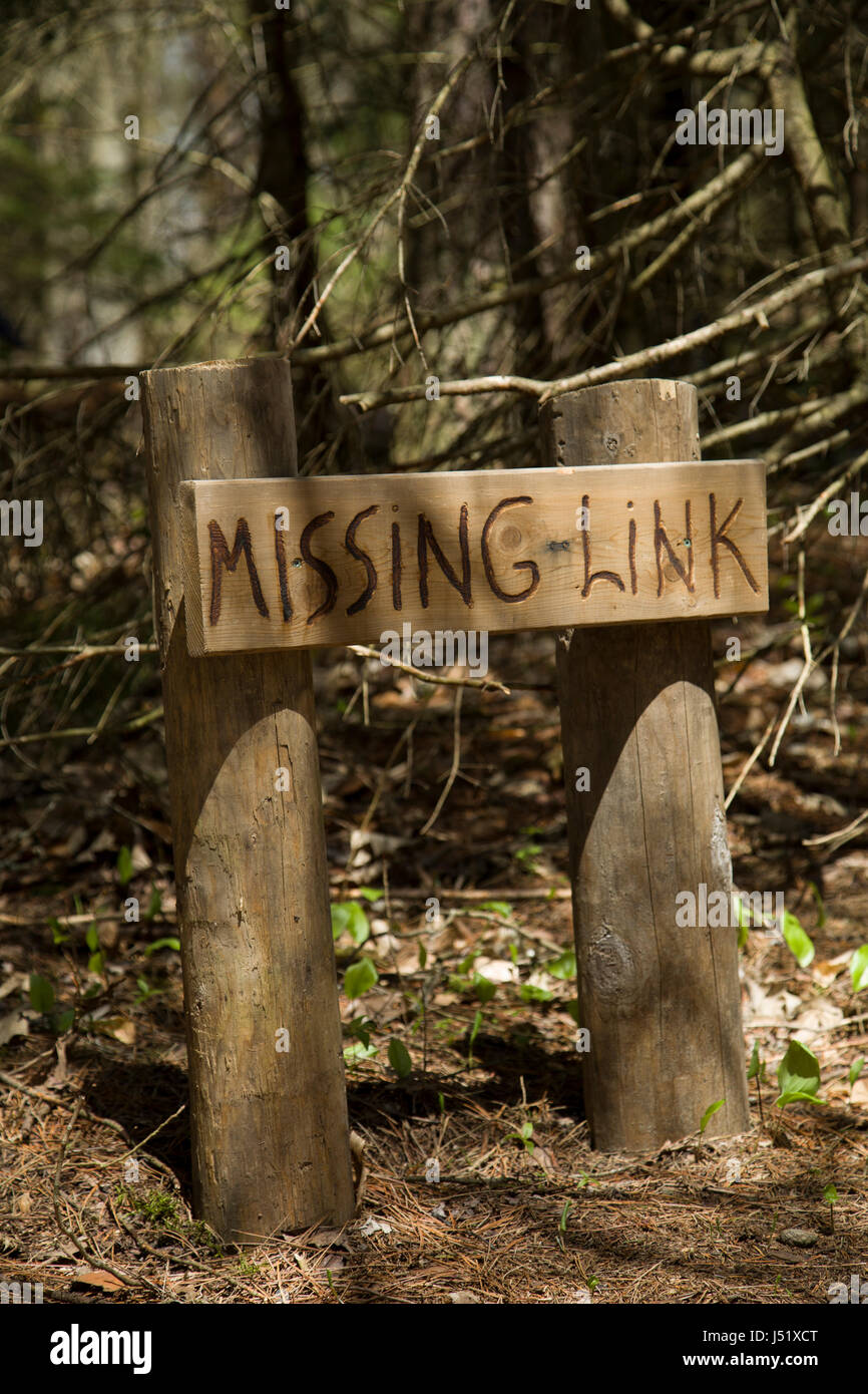Missing link hi-res stock photography and images - Alamy