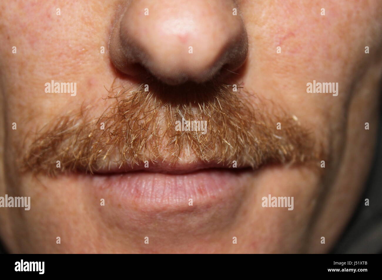 Closeup on mans nose mouth and reddish moustache grown for Movember ...