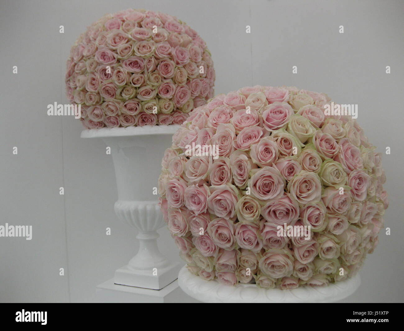 Two large balls made of pale pink roses sitting on top of white ...