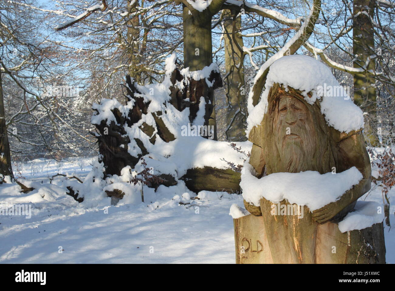 Sad man in snow hi-res stock photography and images - Alamy