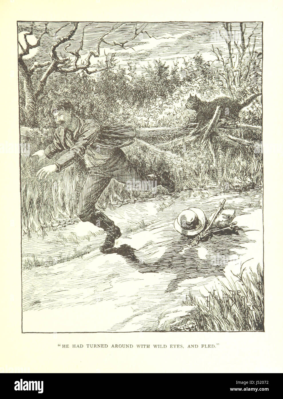 'Zigzag Journeys in the Antipodes' is a fully illustrated work ...