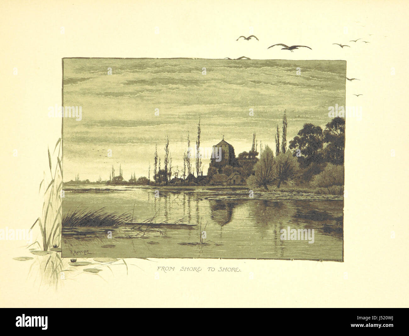 The Beautiful World and other poems, by Helen J. Wood, Helen M ...