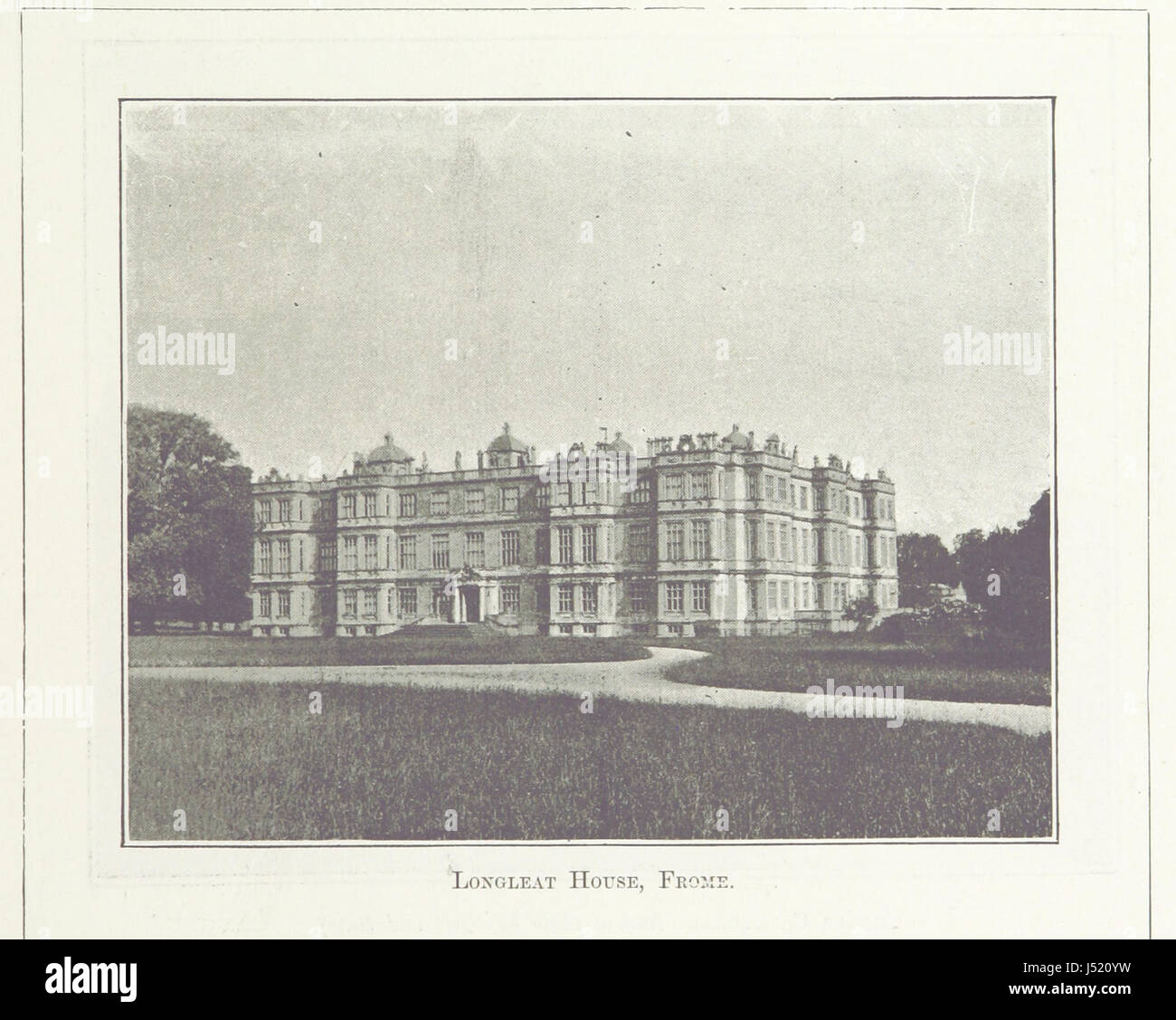 This illustrated guide offers a detailed review of local trades and ...