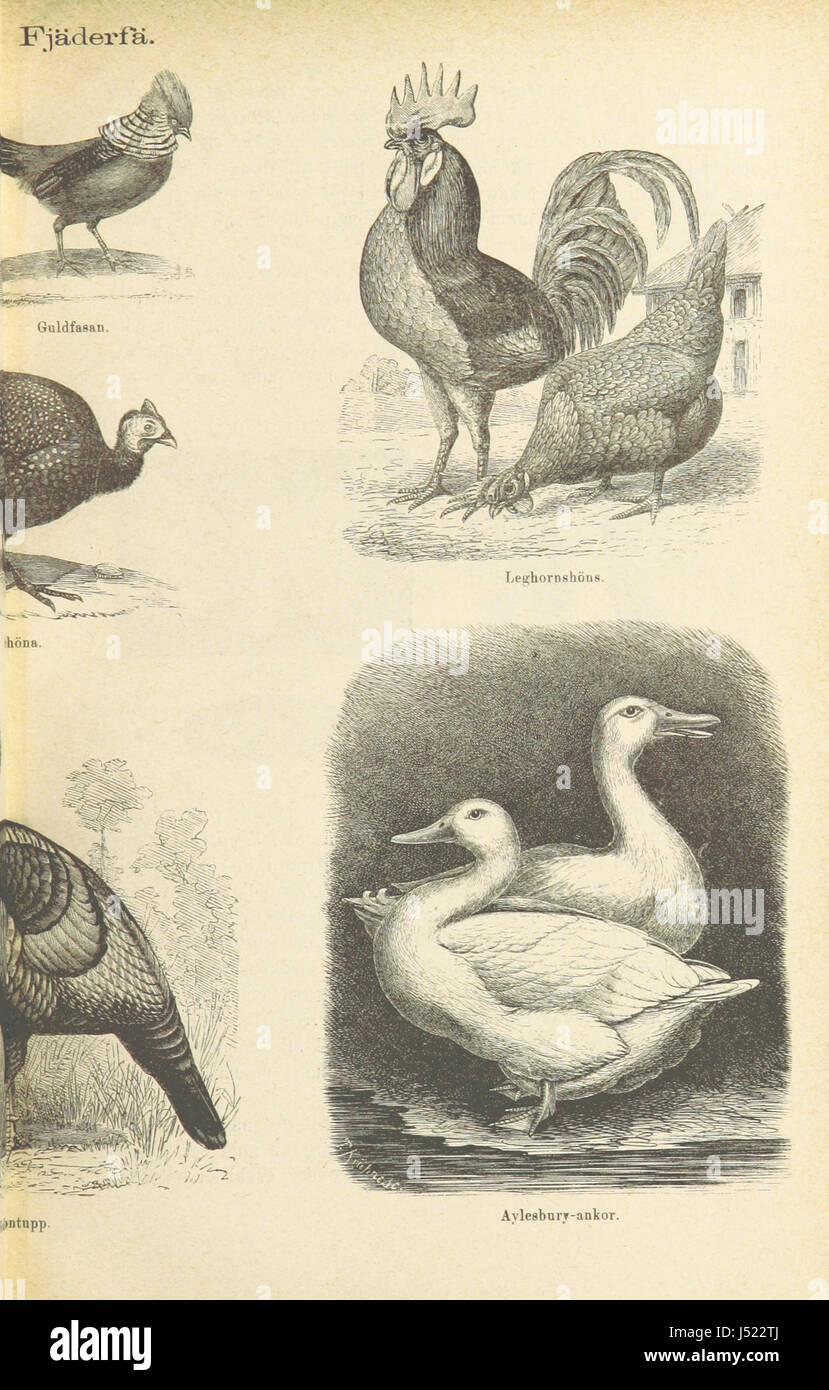 'Menniskan' (The Human) is a Swedish work revised by K. af Geijerstam ...