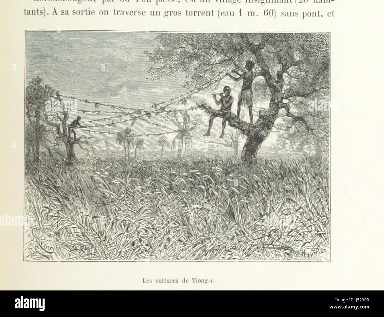 This image is from the book 'Du Niger au Golfe de GuinÃ©e,' documenting ...