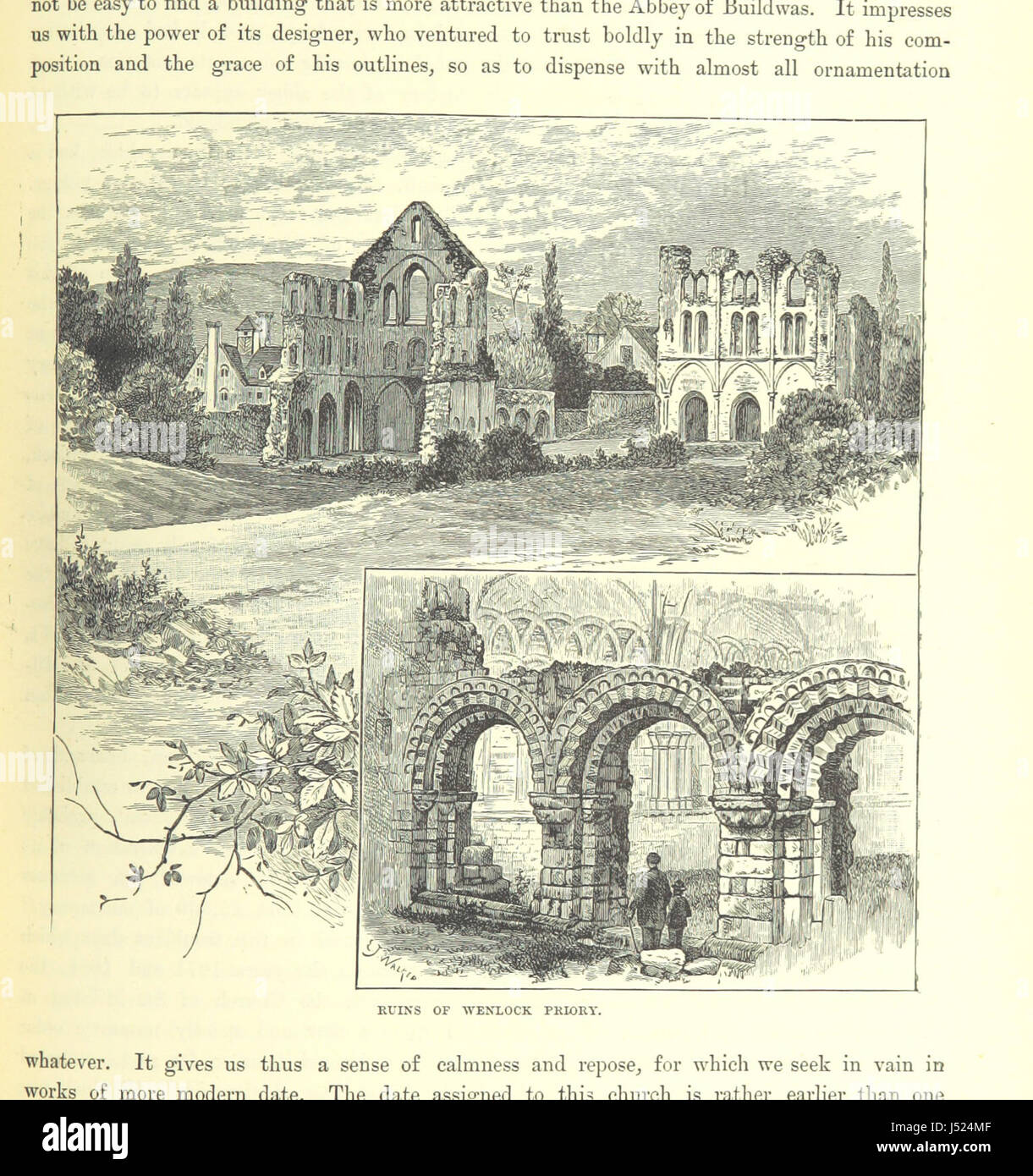 A descriptive, historical, and pictorial work offering a comprehensive ...