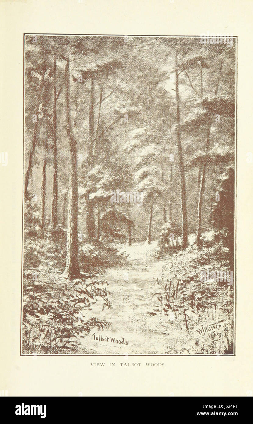 [A Descriptive Guide to Bournemouth, Christchurch, Wimborne and Corfe ...