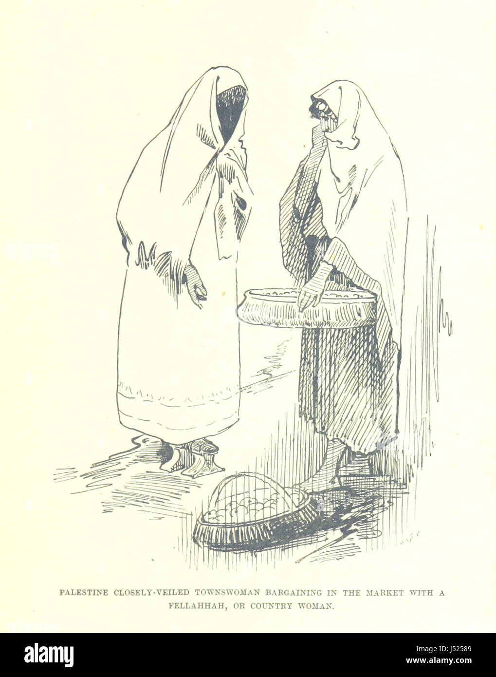 *Pictured Palestine* is an illustrated book showcasing the landscapes ...