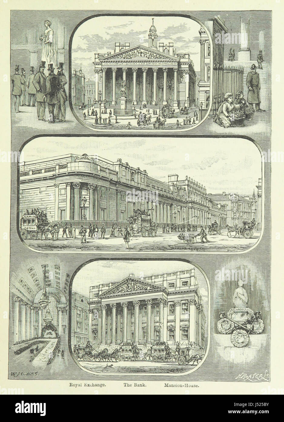 This illustrated guidebook offers detailed descriptions of various ...