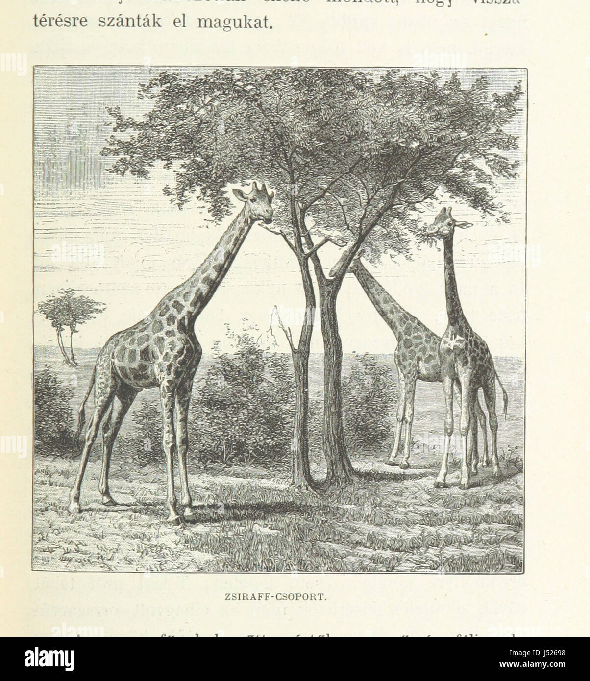 Teleki Samuel High Resolution Stock Photography and Images - Alamy