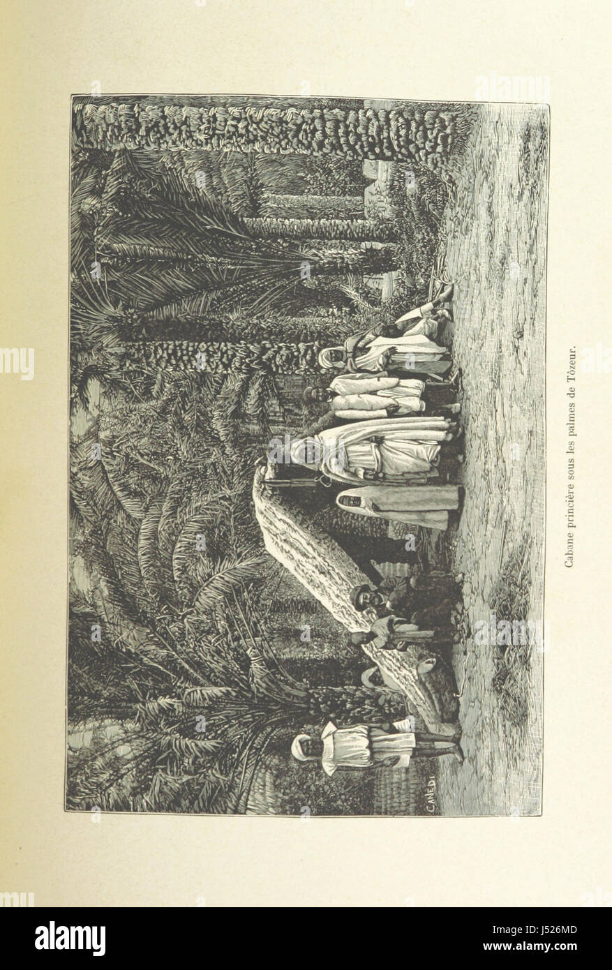 This image is extracted from *De Carthage au Sahara*, a work detailing ...