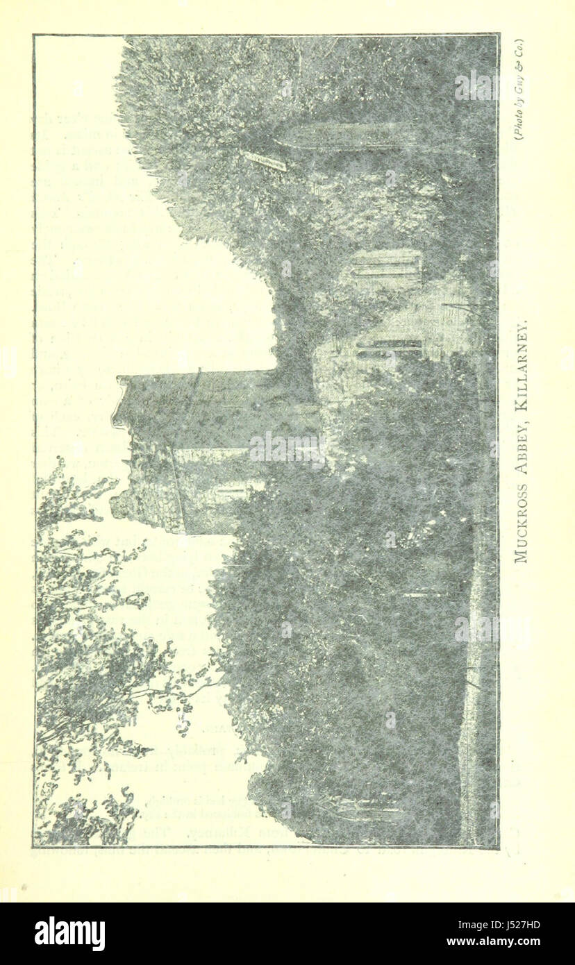 This pictorial guide provides a visual and descriptive overview of the ...