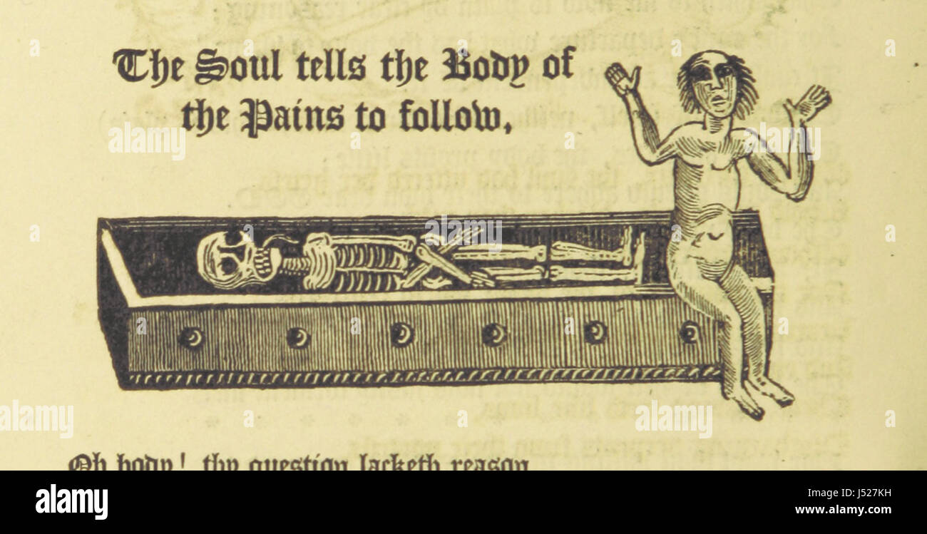 The Lamentable Vision of the Devoted Hermit is a text that reflects on ...