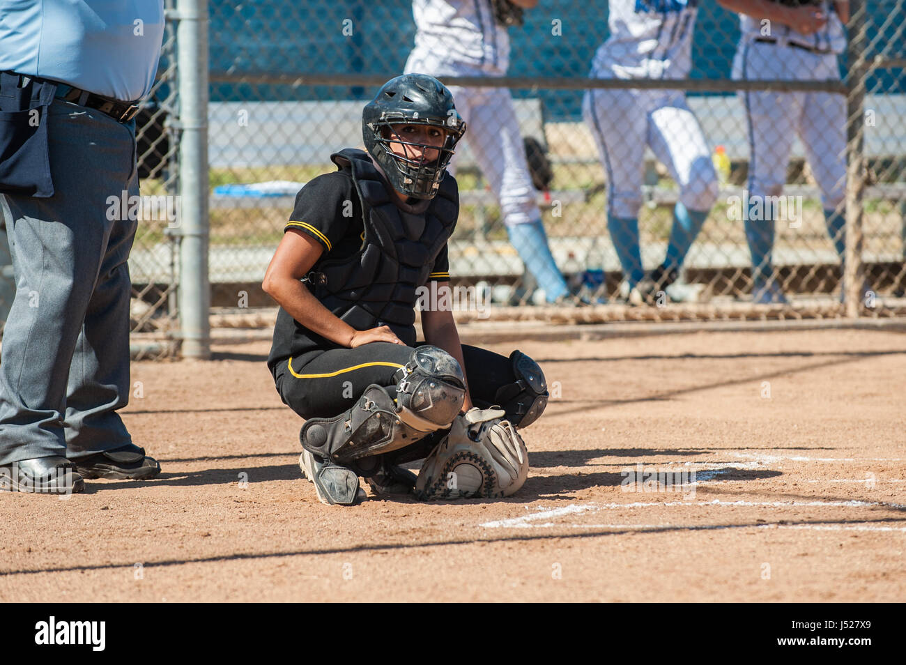 Softball catcher in black uniform looking through mask to receive the ...