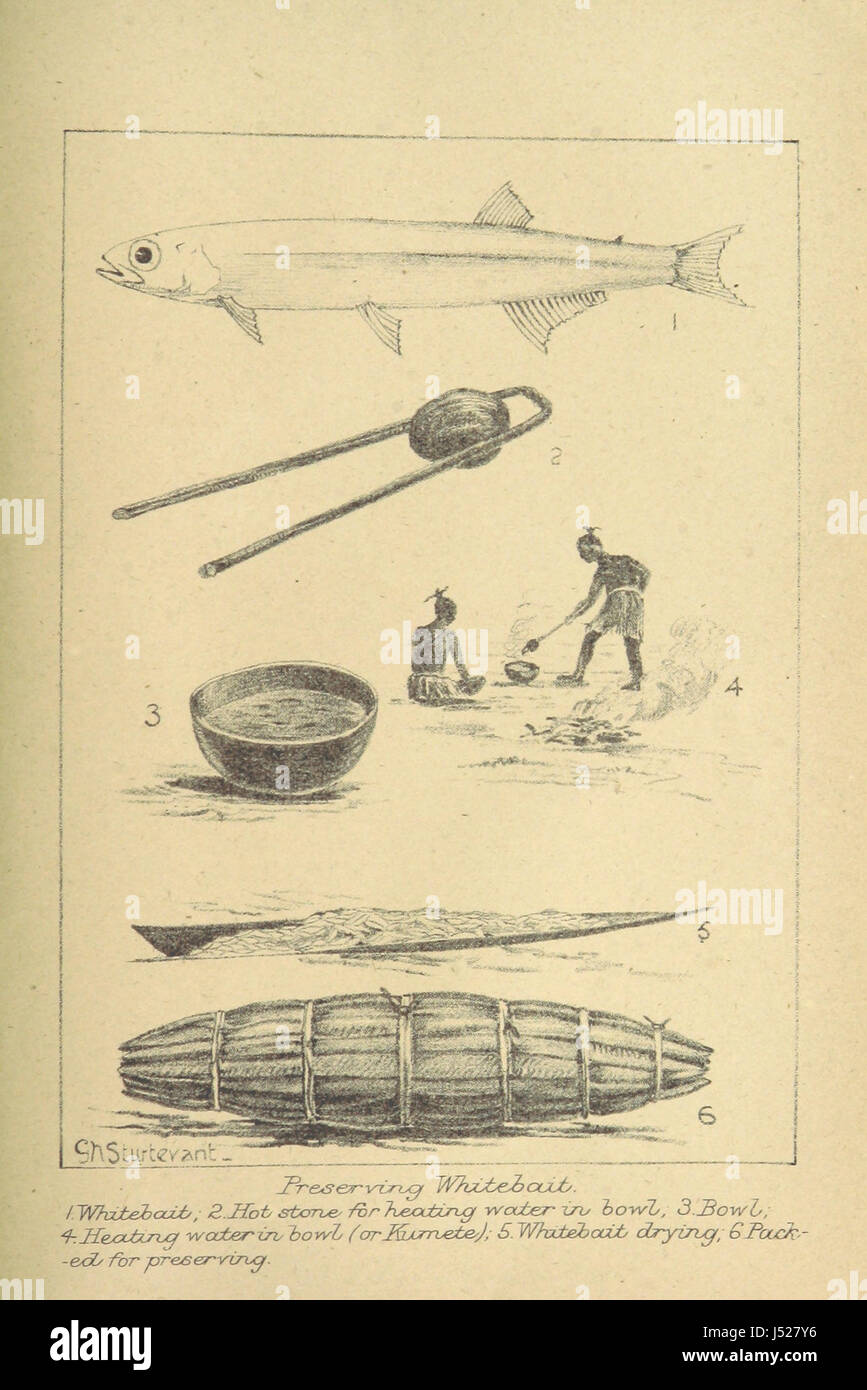 These illustrations were created for White's Ancient History of the ...