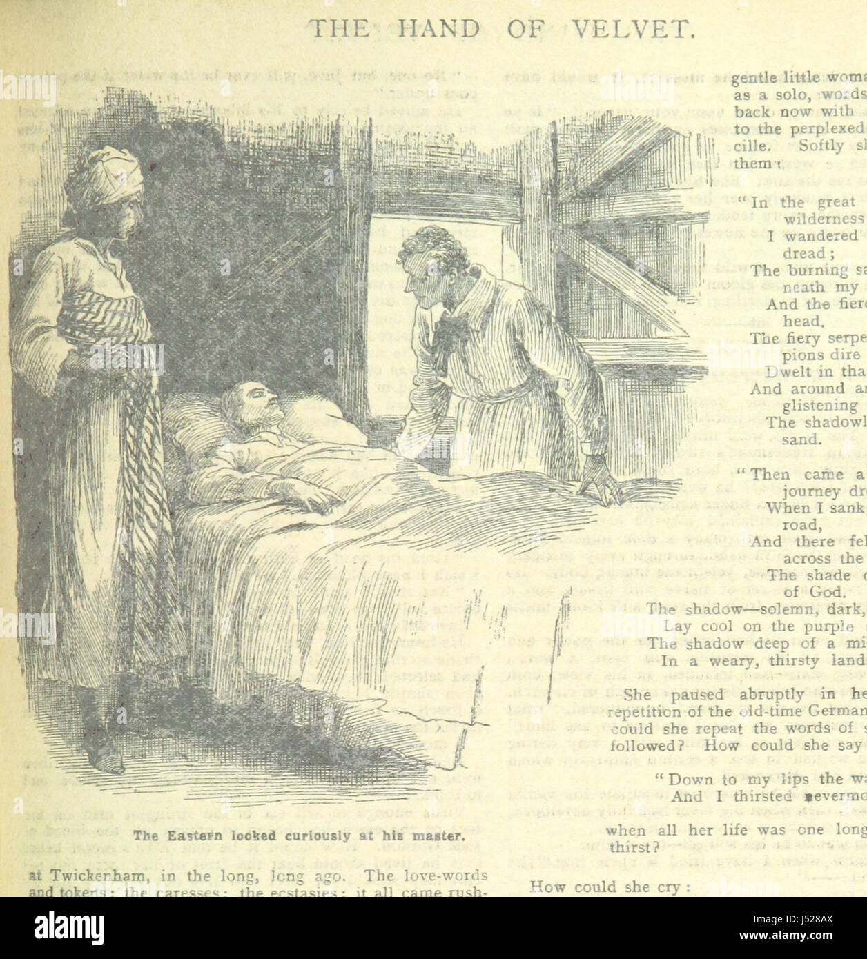 A collection of compelling life stories designed to entertain and ...