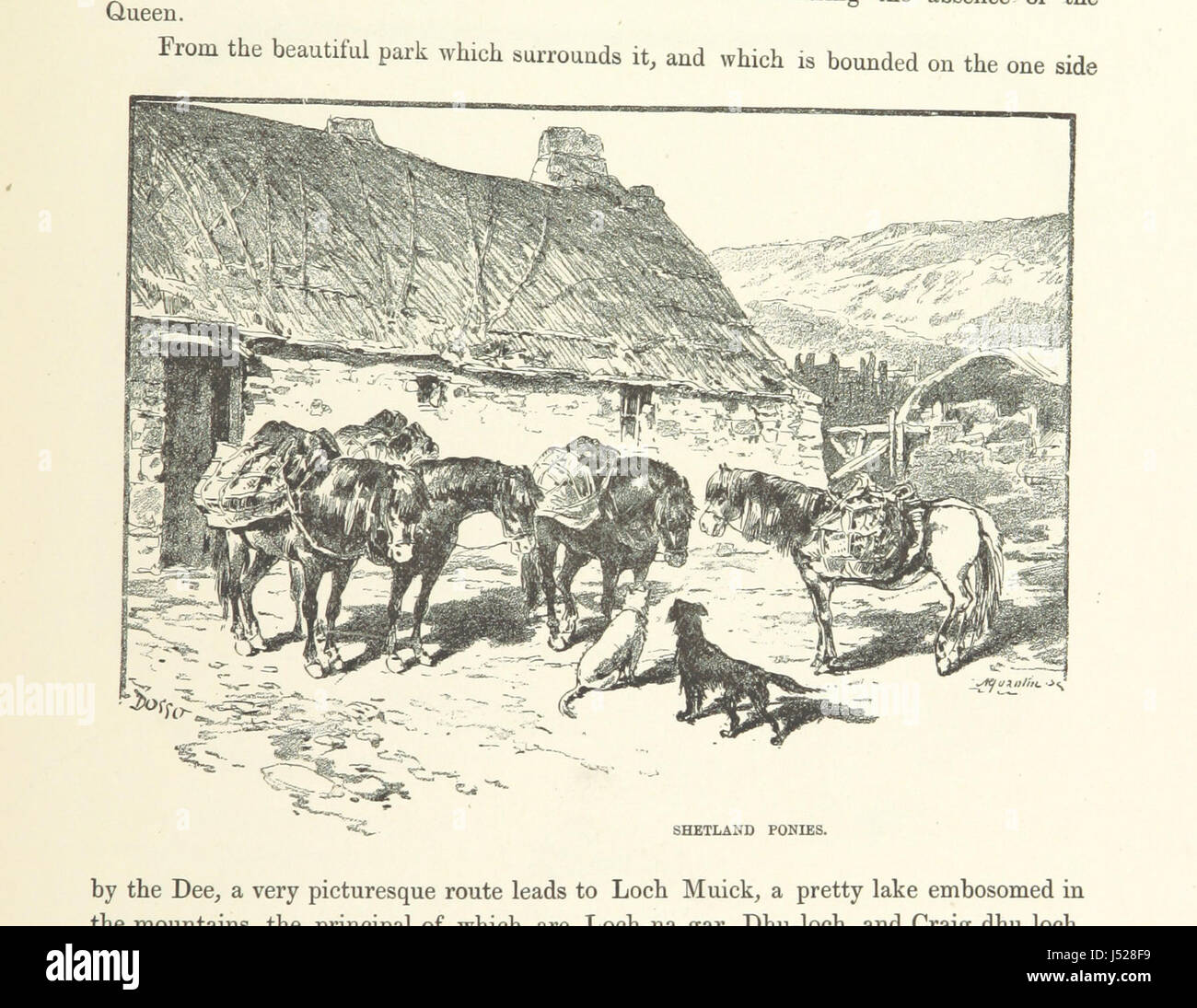 'Scotland and Ireland: A Picturesque Survey' provides a visual and ...