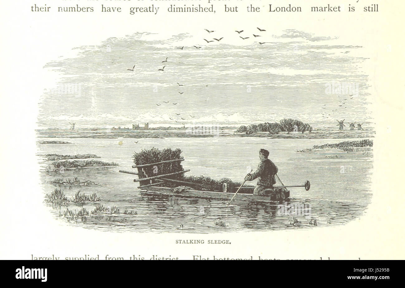 This collection features English drawings from the 19th century ...