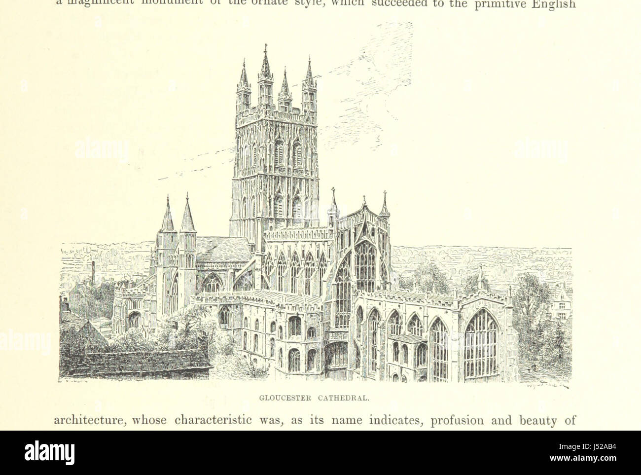 'The English Provinces' is a detailed survey of the counties of England ...