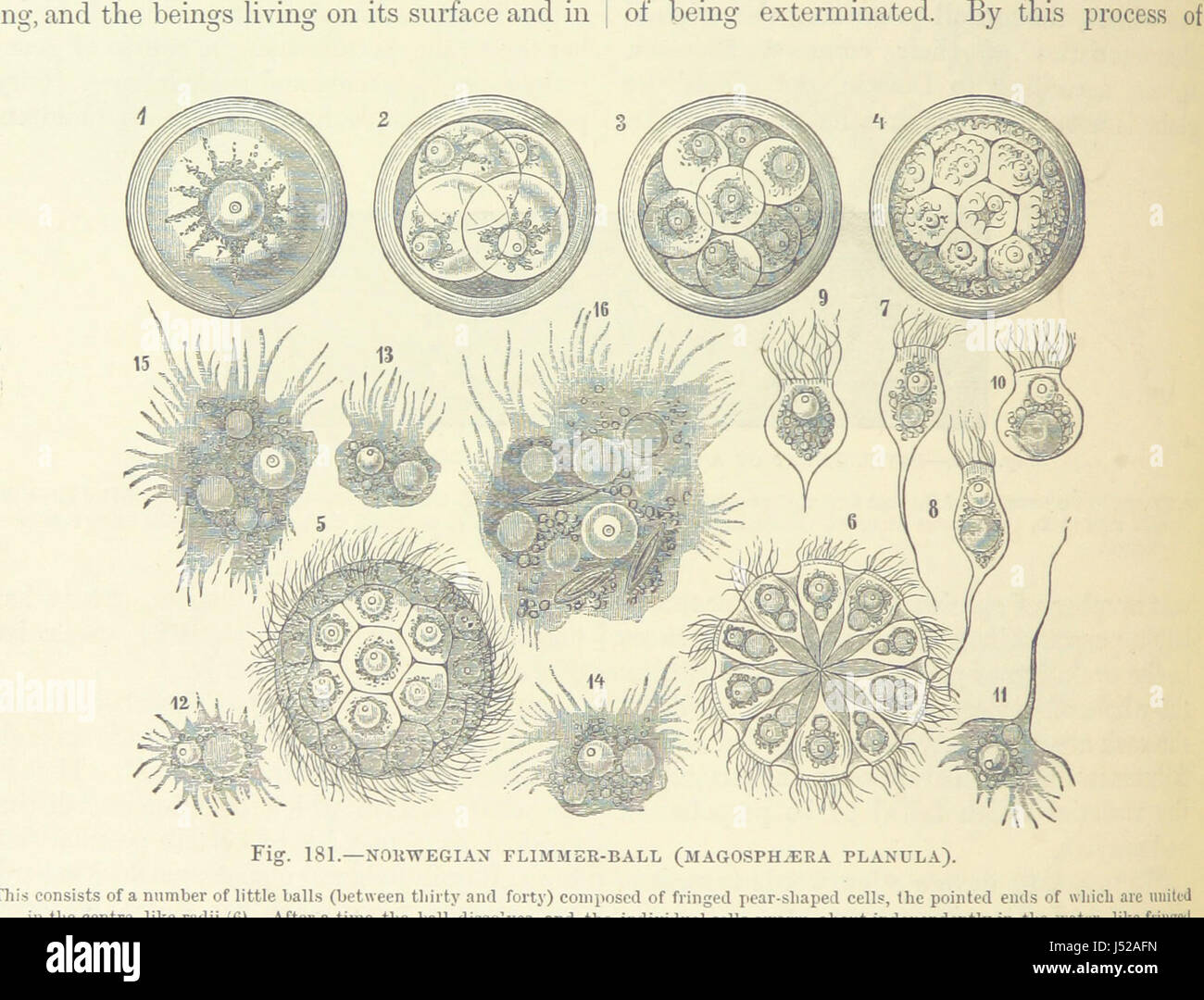 'Our Earth and its Story' is a comprehensive guide to physical ...