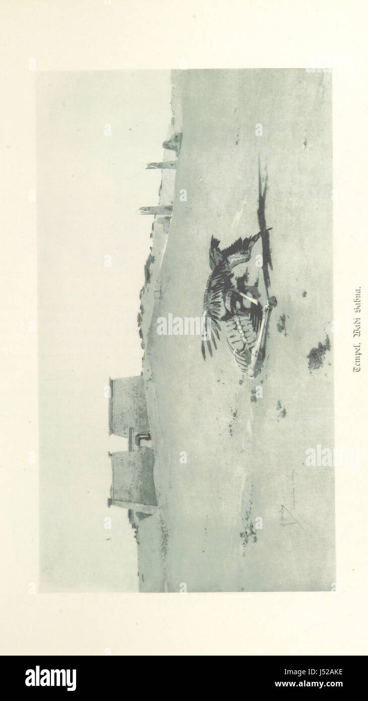 'Nilfahrt' is a work that explores the journey along the Nile River ...