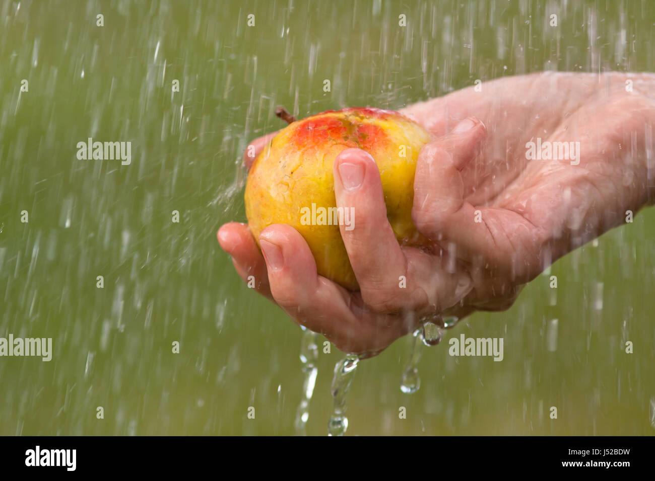 hand with apple under flowing water on green background Stock Photo - Alamy