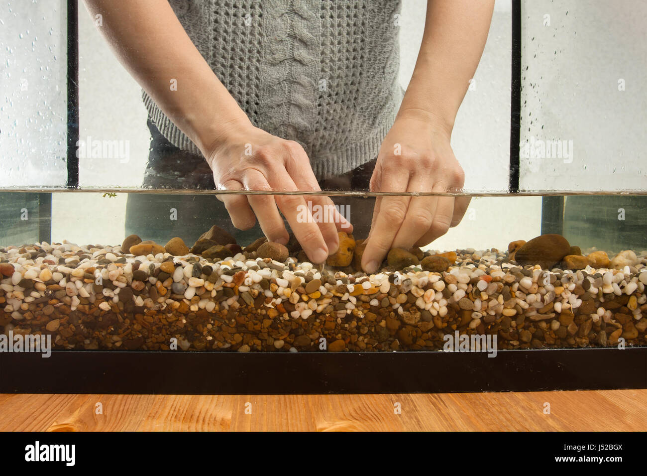 The substrate table hi-res stock photography and images - Alamy