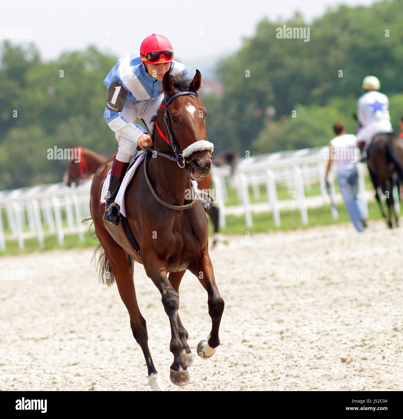 Action shot of jockeys in horse race Stock Photo - Alamy