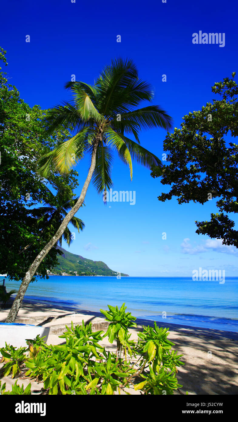Beau vallon beach seychelles hi-res stock photography and images - Alamy