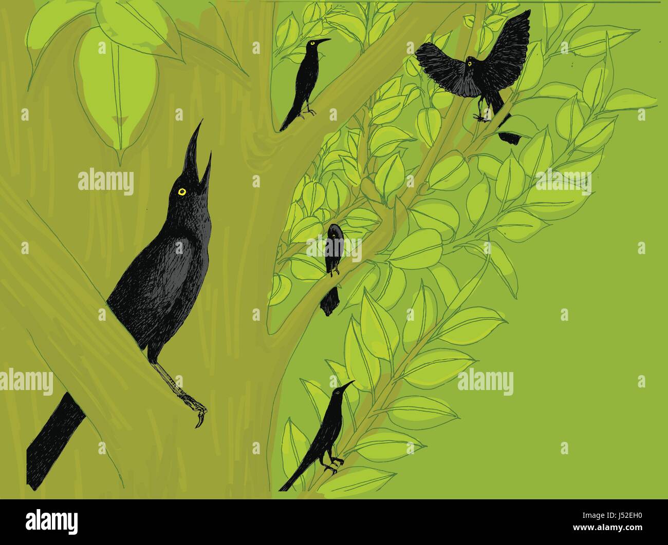 vector of black birds on a tree Stock Vector Image & Art - Alamy