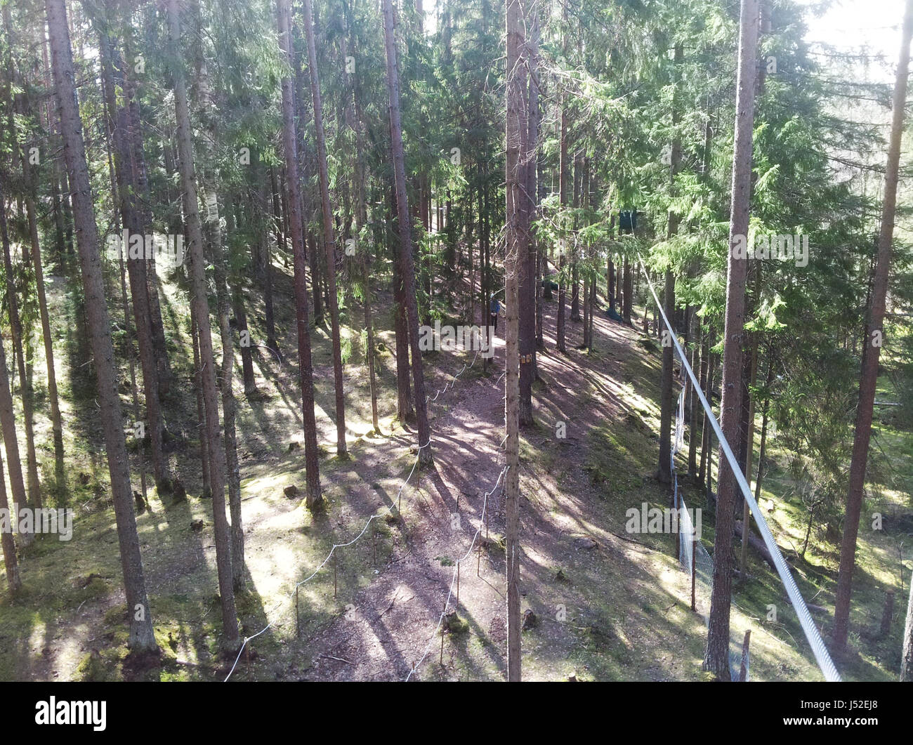 Tarpanka hi-res stock photography and images - Alamy