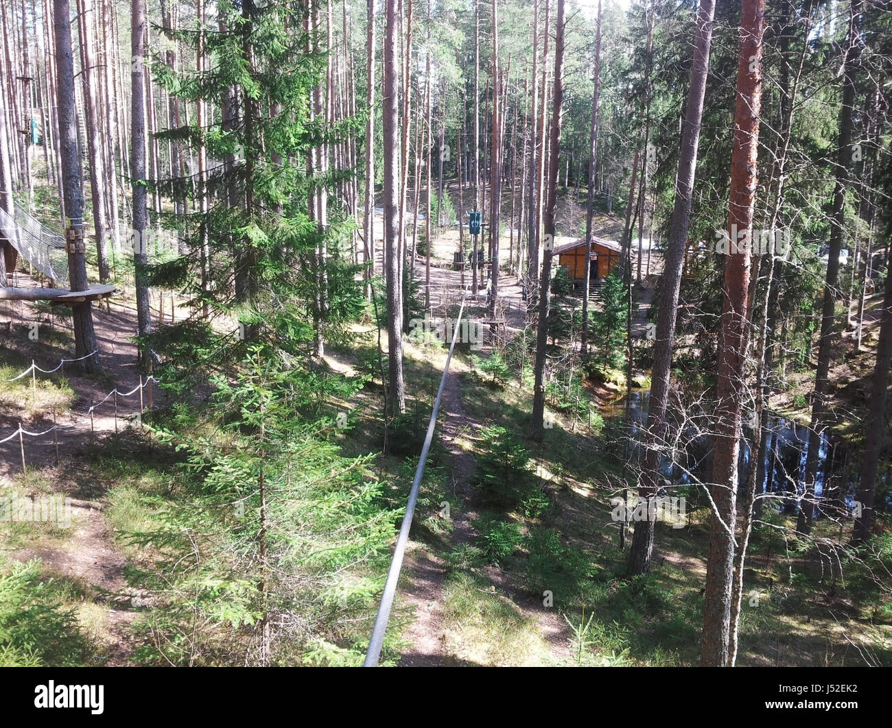 Rope park in a pine forest. Rope track for passage at height Stock ...