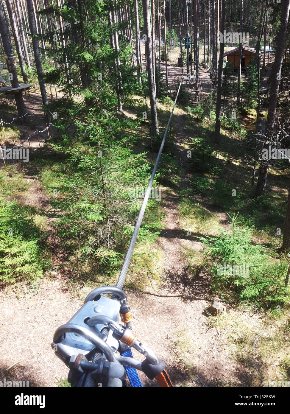 Rope park in a pine forest. Rope track for passage at height Stock ...