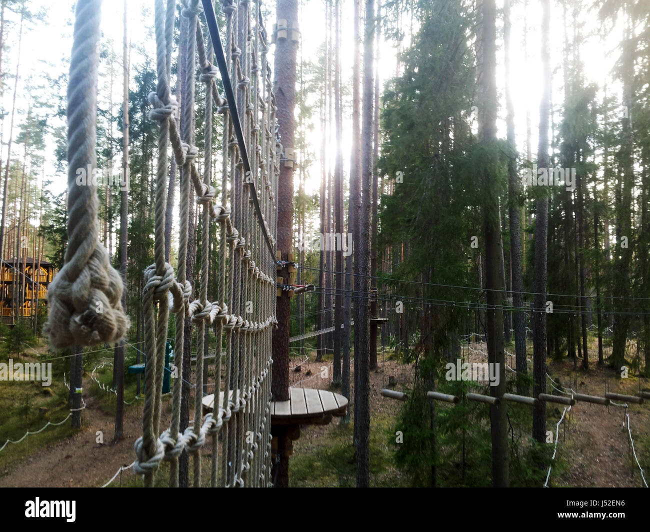 Rope park in a pine forest. Rope track for passage at height Stock ...