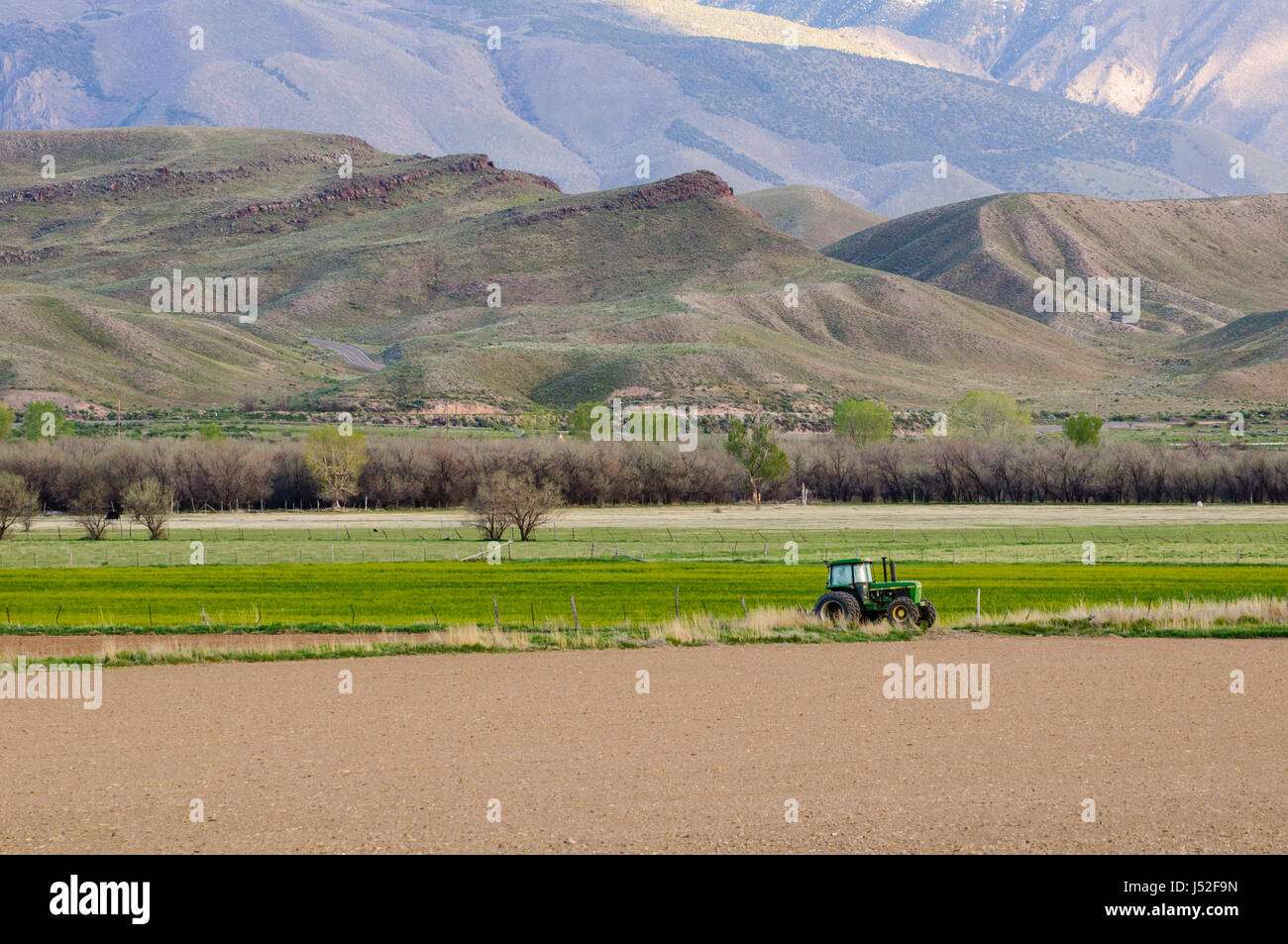 Tractor parked in a farmer's field in Joseph, Utah, USA Stock Photo - Alamy