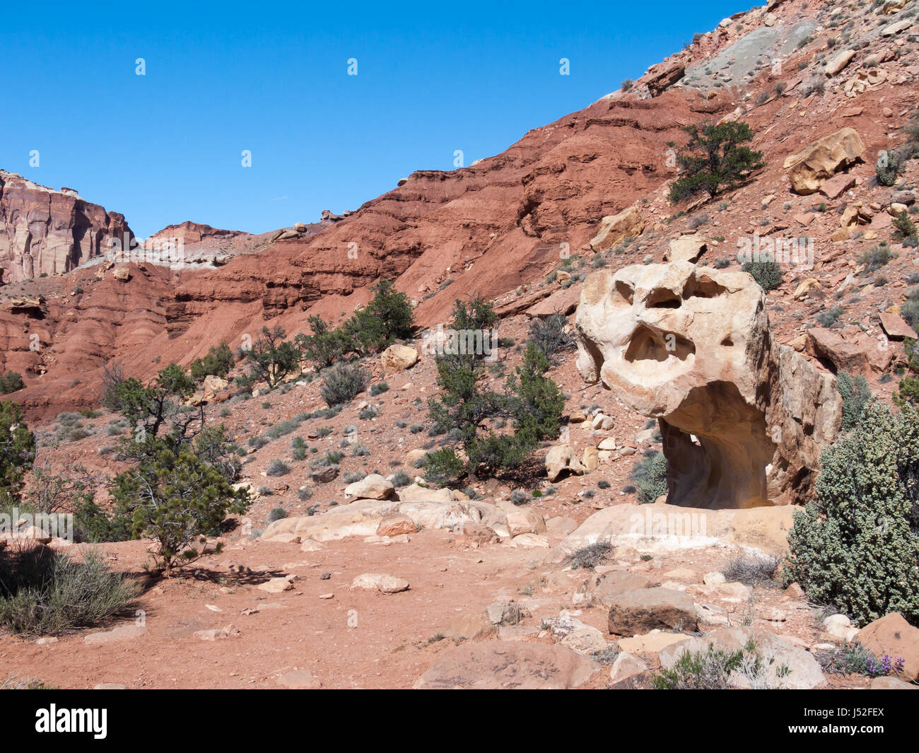 Human formation hi-res stock photography and images - Alamy