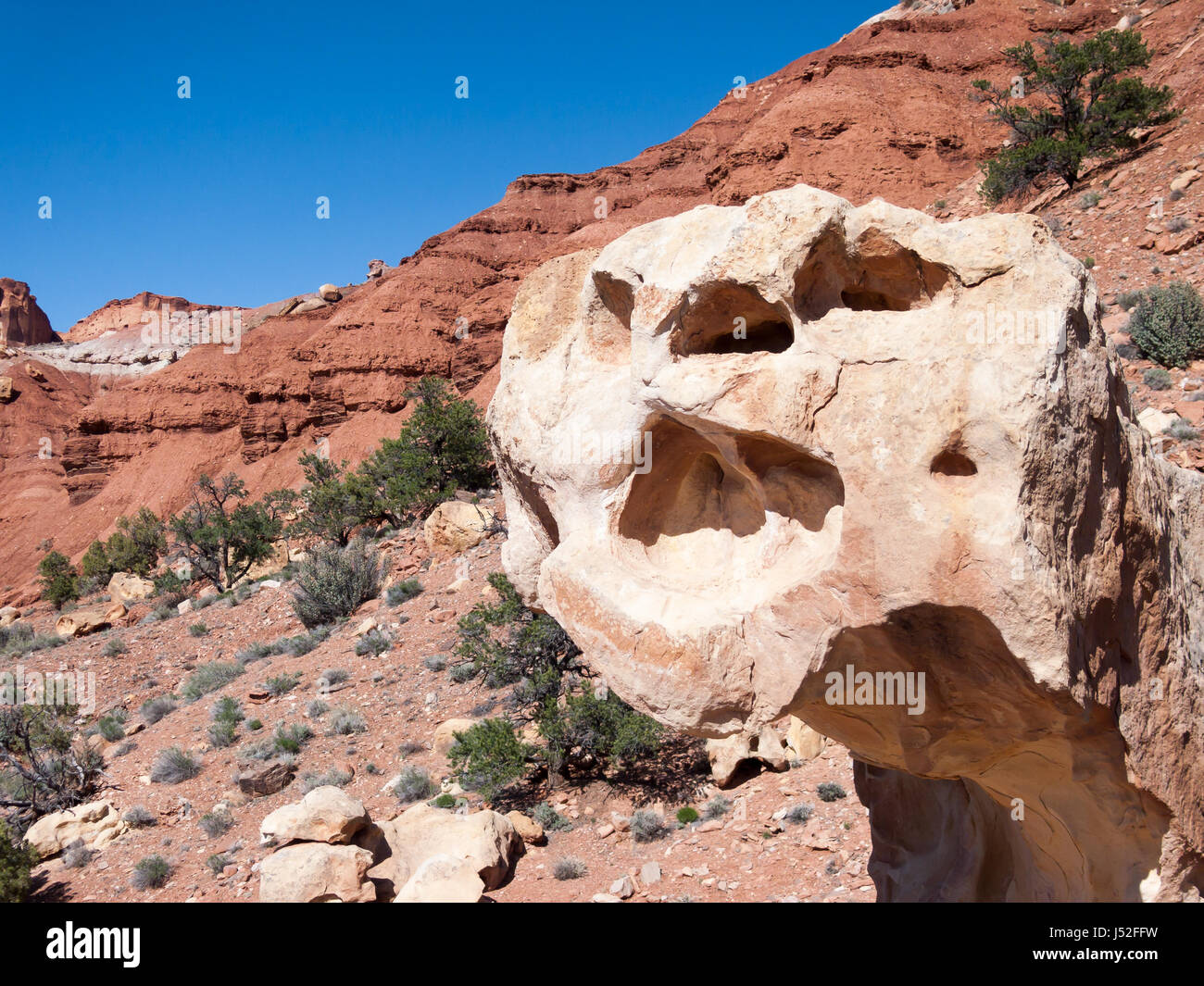 Human formation hi-res stock photography and images - Alamy