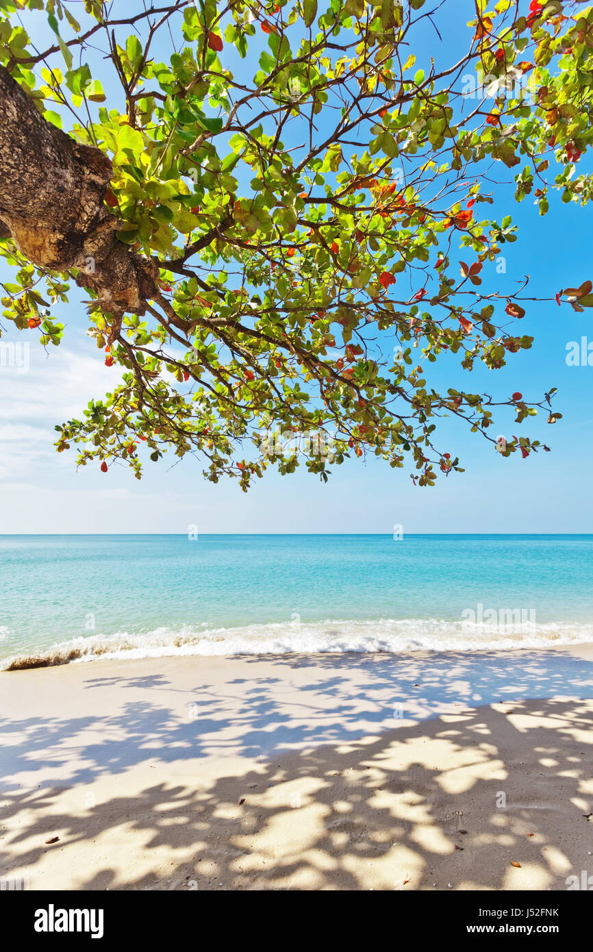 Beautiful tropical sea and beach. Nature background Stock Photo - Alamy